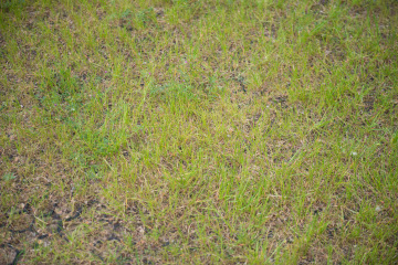 Rasengitter CABKA Grid X5